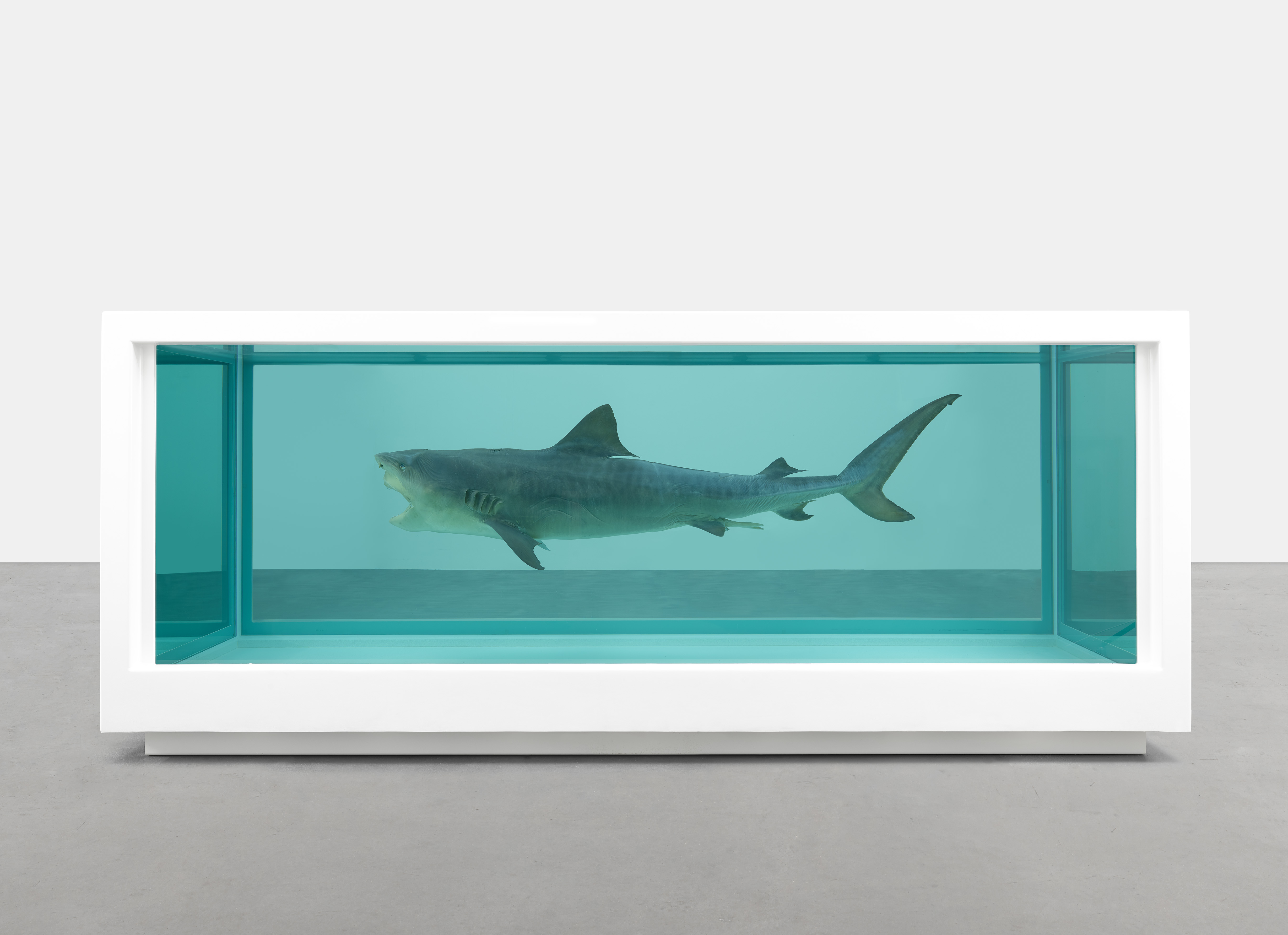 DAMIEN HIRST: VIVIR PARA SIEMPRE (POR UN MOMENTO) - Museo Jumex